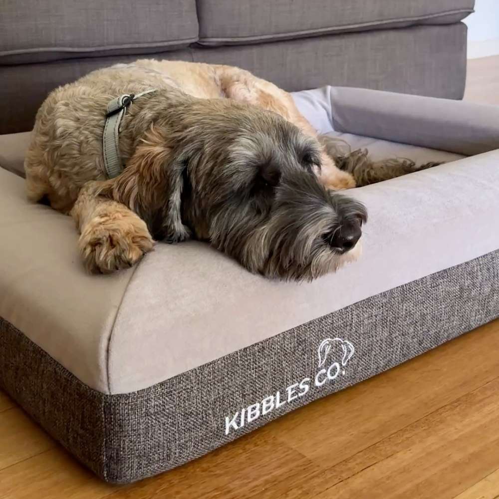 Premium Orthopedic Memory Foam Dog Bed – Kibbles Co