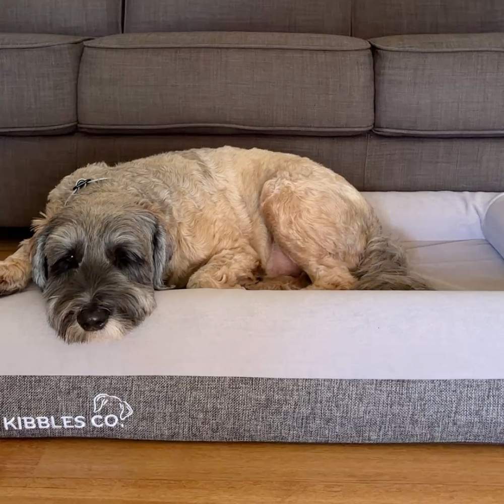 Premium Orthopedic Memory Foam Dog Bed – Kibbles Co